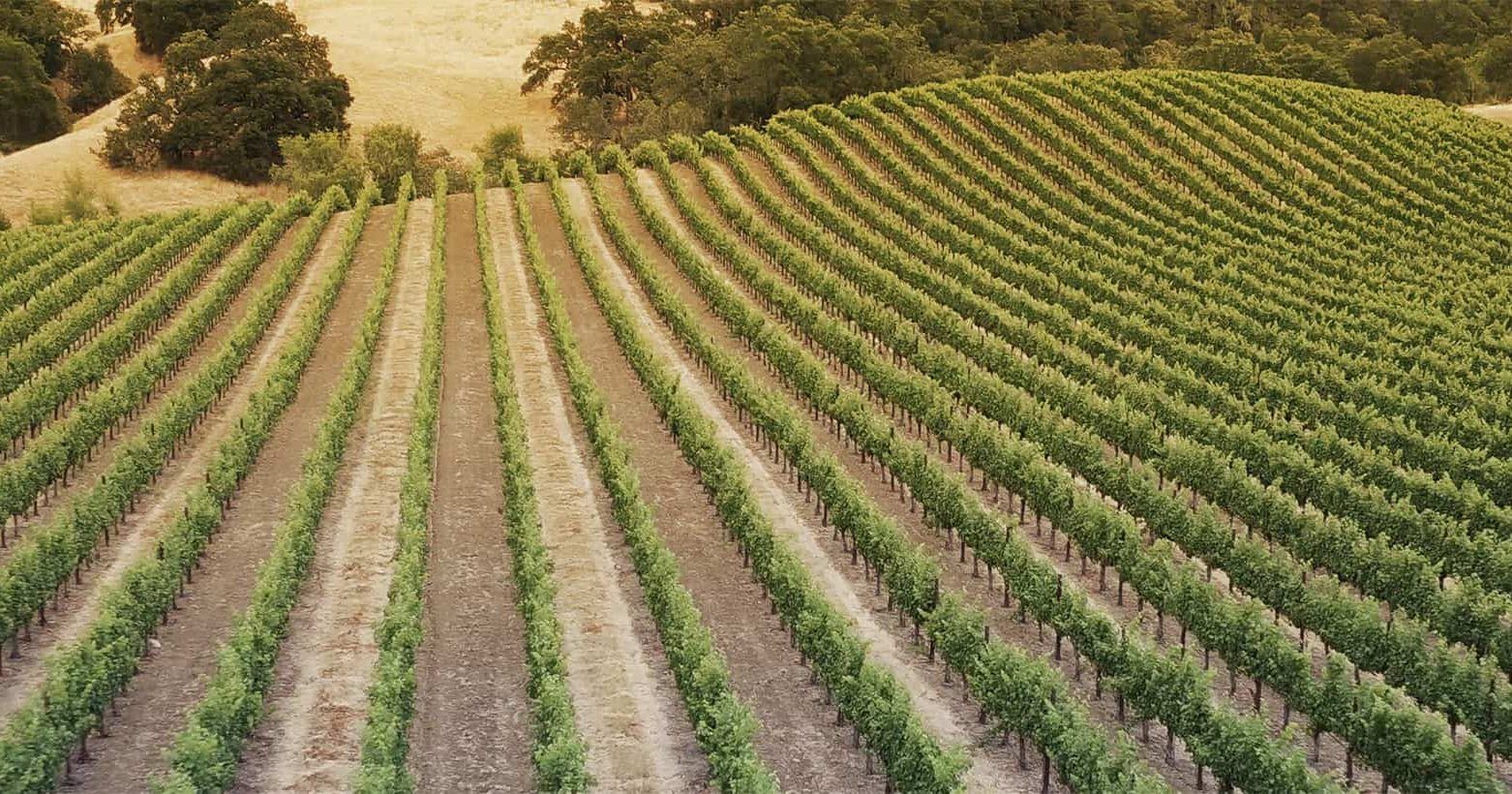 Careers - Bevill Vineyard Management